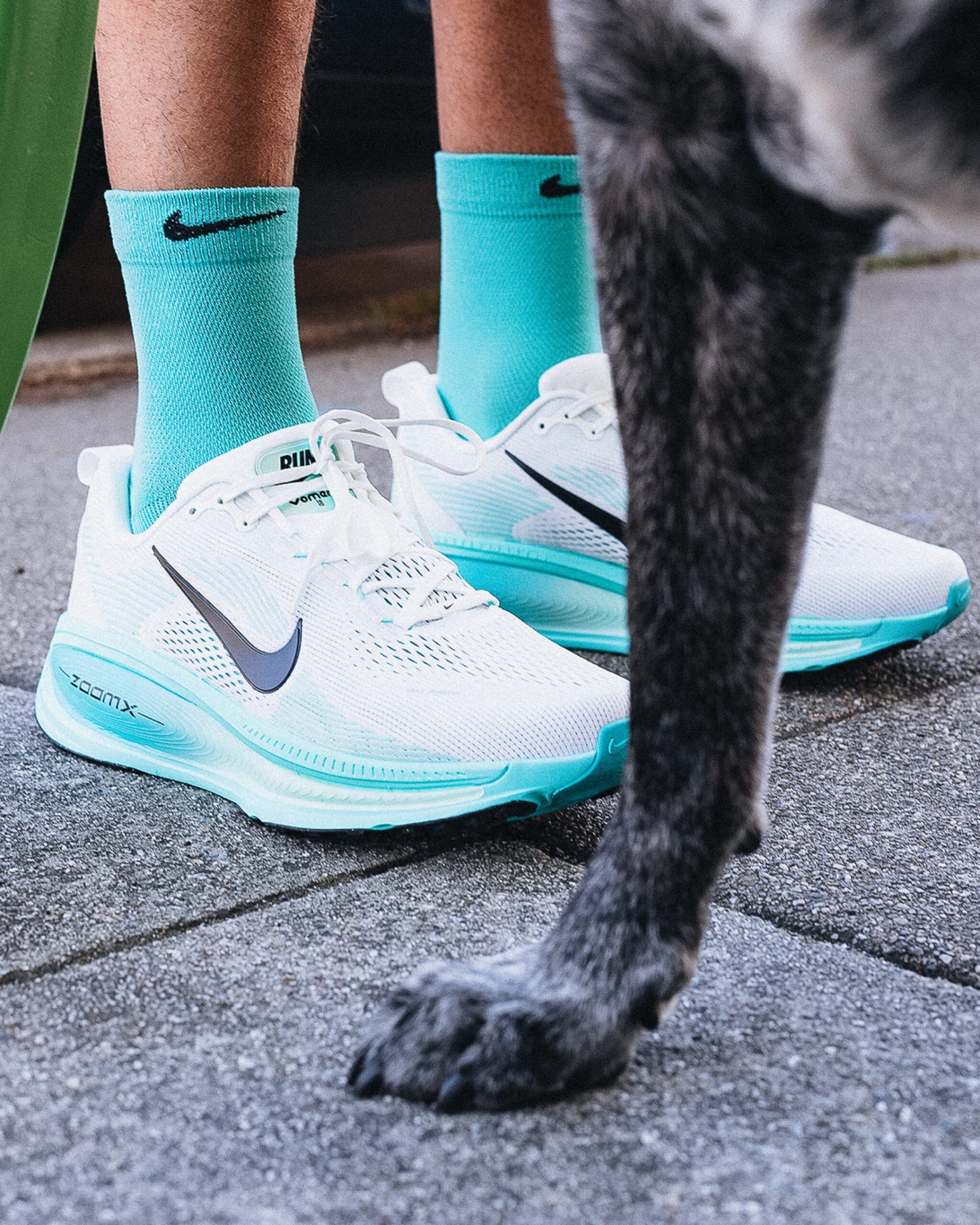 A Runner's Mind | Specialty Running Stores | CA Bay Area